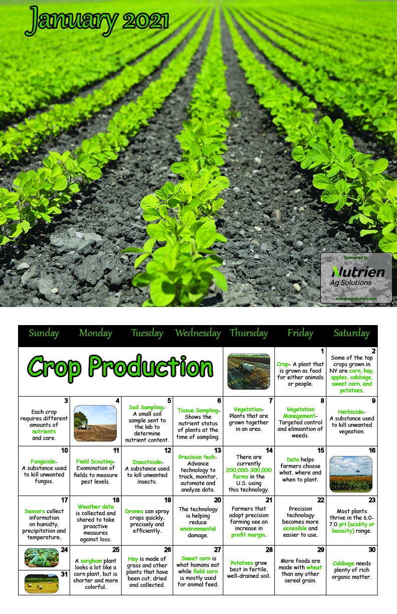 January 2021 - Crops :: New York Farm Bureau