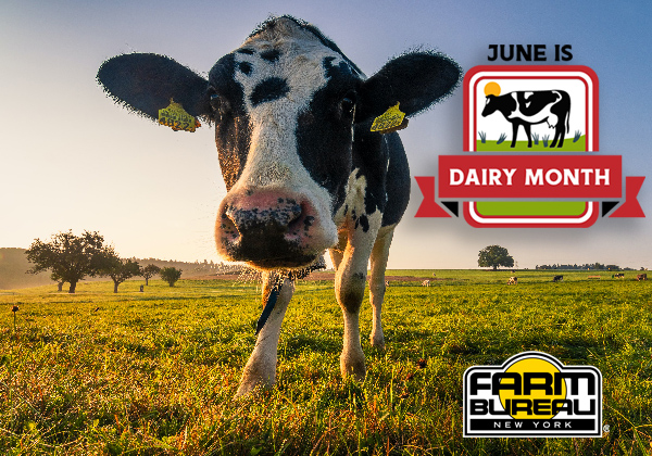 Celebrating June as Dairy Month :: New York Farm Bureau